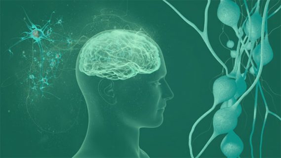Multiple Sclerosis Symptoms: Early Warning Signs – Global Stem Cells Multiple Sclerosis Symptoms: Early Warning Signs – Global Stem Cells